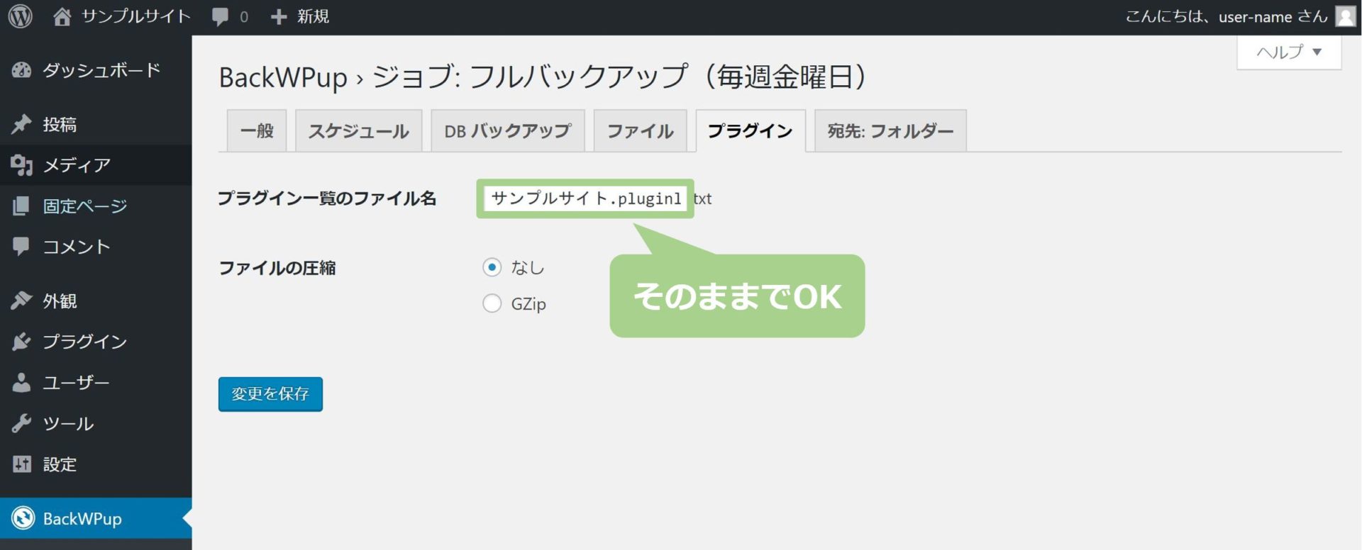 BackWPupでWordPressを自動的にバックアップする方法 – More Web
